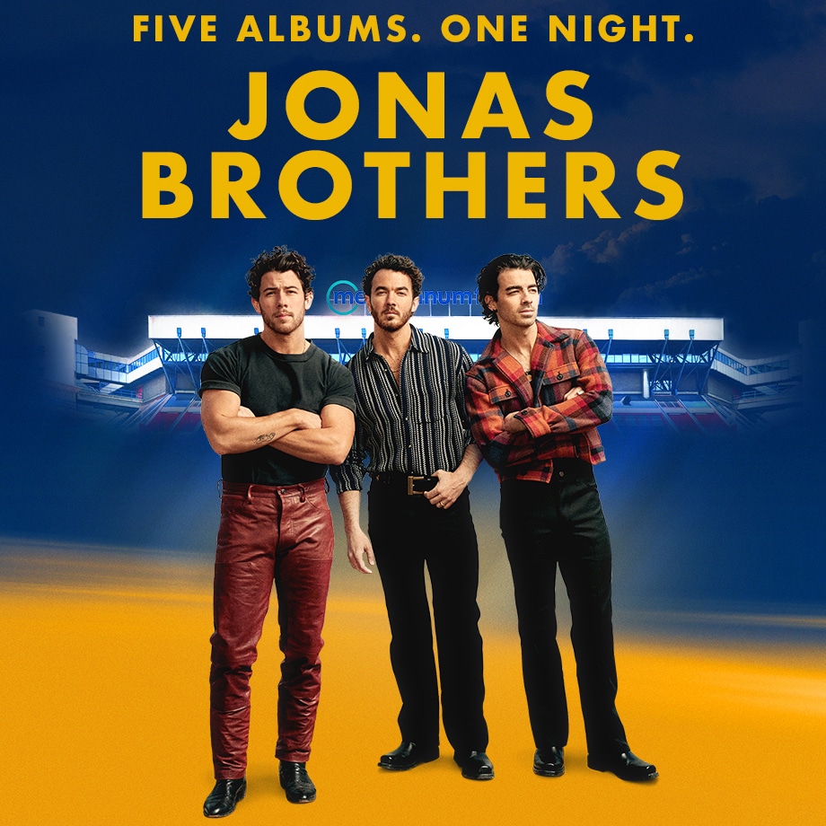 Biglietti VIP concerti: pacchetti, VIP Pass e biglietti da collezione